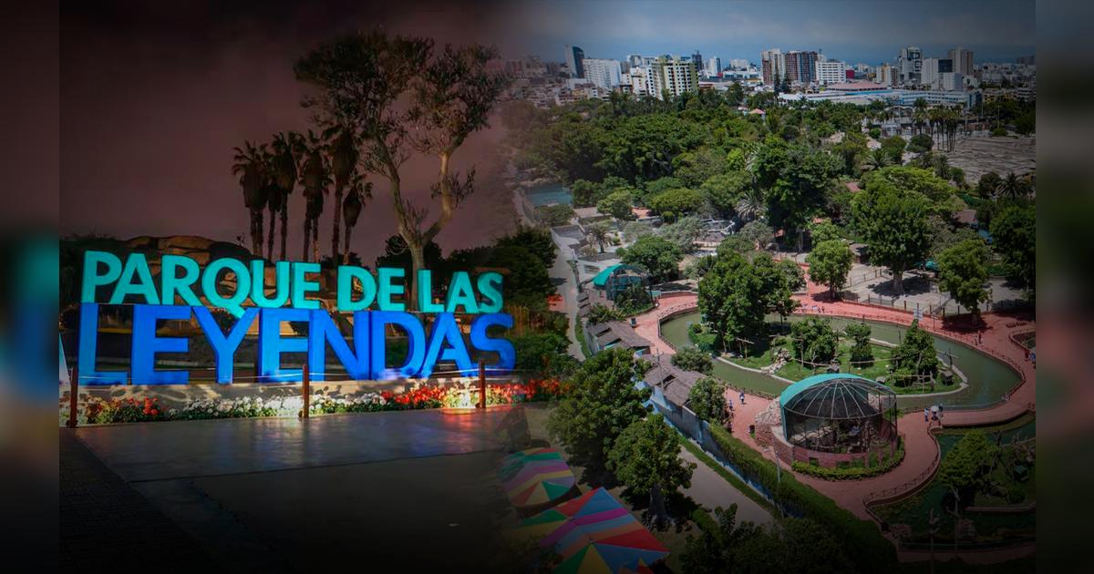 ¿Adentrarse en la selva? Parque de las Leyendas ofrece místico recorrido: fechas, precio y más ...