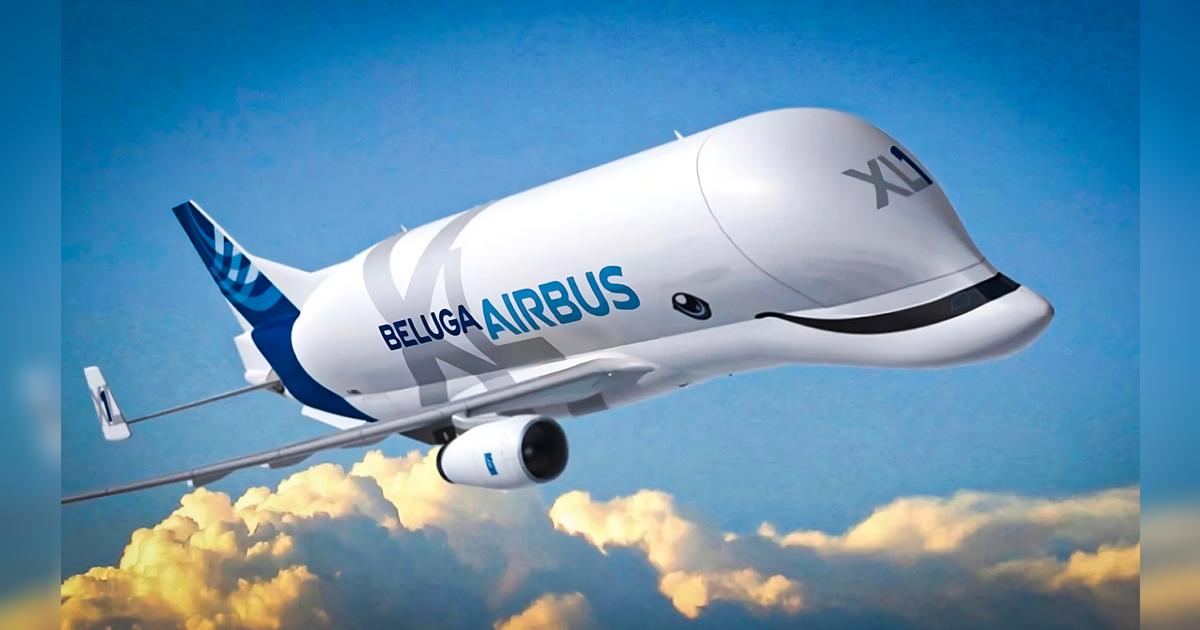 El único avión del mundo con forma de ballena tiene su propia aerolínea ...
