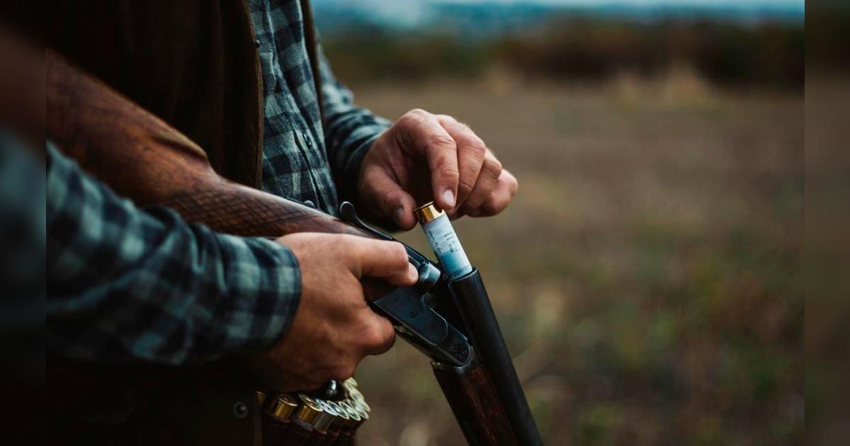 VIDEO | Anciano desata tiroteo en bar de Brasil: hombre disparó contra ...