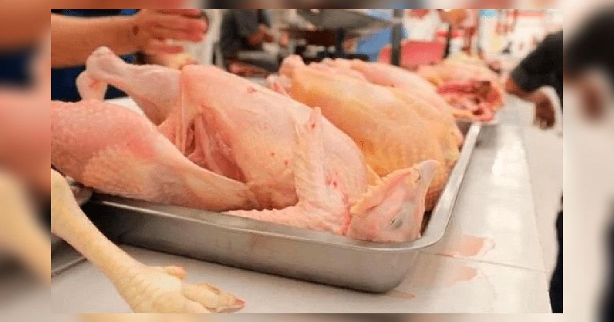 Cusco | Por gripe aviar declaran cuarentena de 30 días en región ...