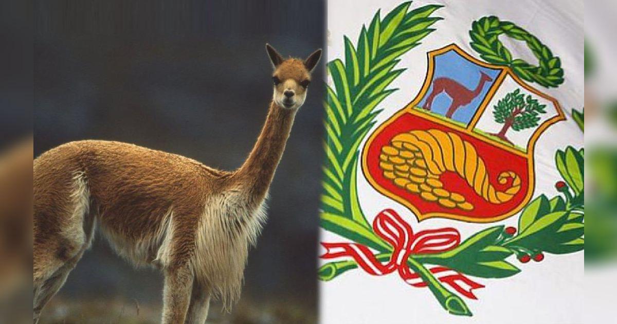 El escudo nacional esconde un secreto milenario: descubre la historia ...