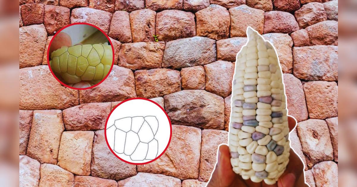 ¿Las arquitecturas incas y preincas tienen forma de los granos del ...