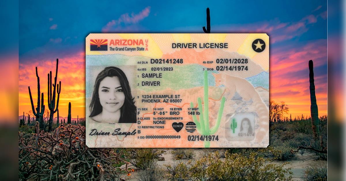 ¿Cómo saber si necesito el Real ID en Arizona? GUÍA FÁCIL para tramitar el documento desde ...