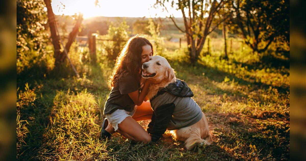 ¿Qué lugares hay para ir con perros cerca a Lima? disfruta de un full ...