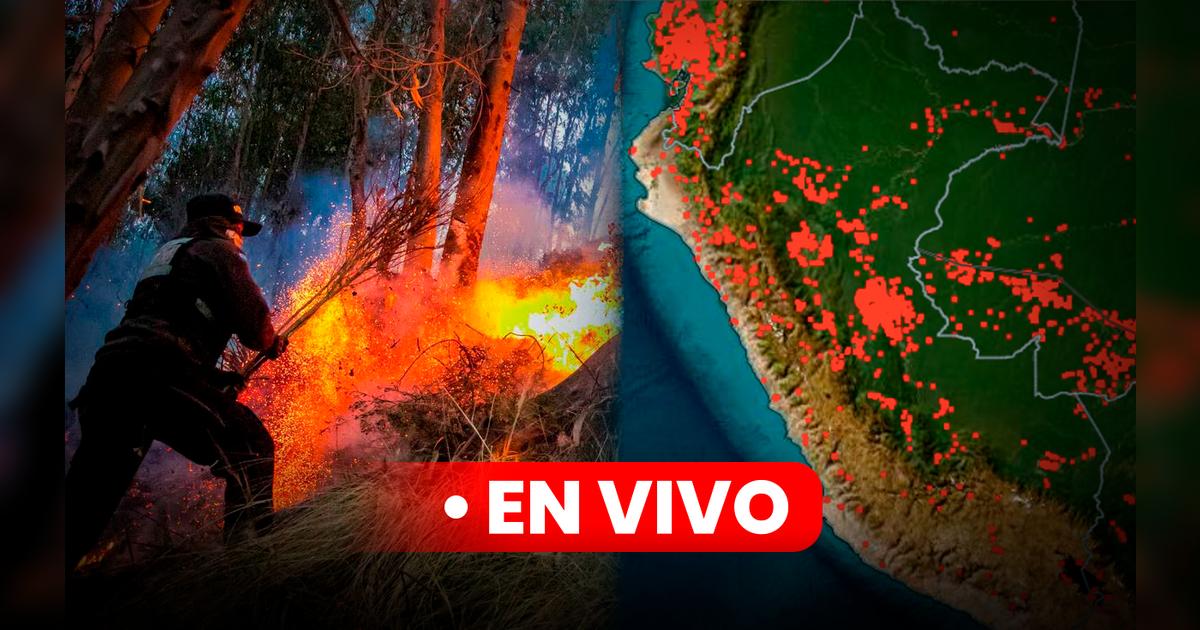 Incendios forestales Perú 2024 EN VIVO: Indeci reporta 20 fallecidos y ...