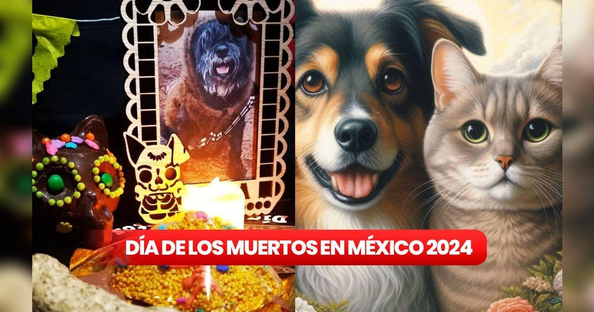 ¿Cuándo visitan los altares los gatos y perros fallecidos por el Día de ...