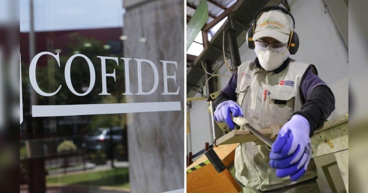 Cofide asignó más de S/1.000 millones en garantías a través de Impulso ...