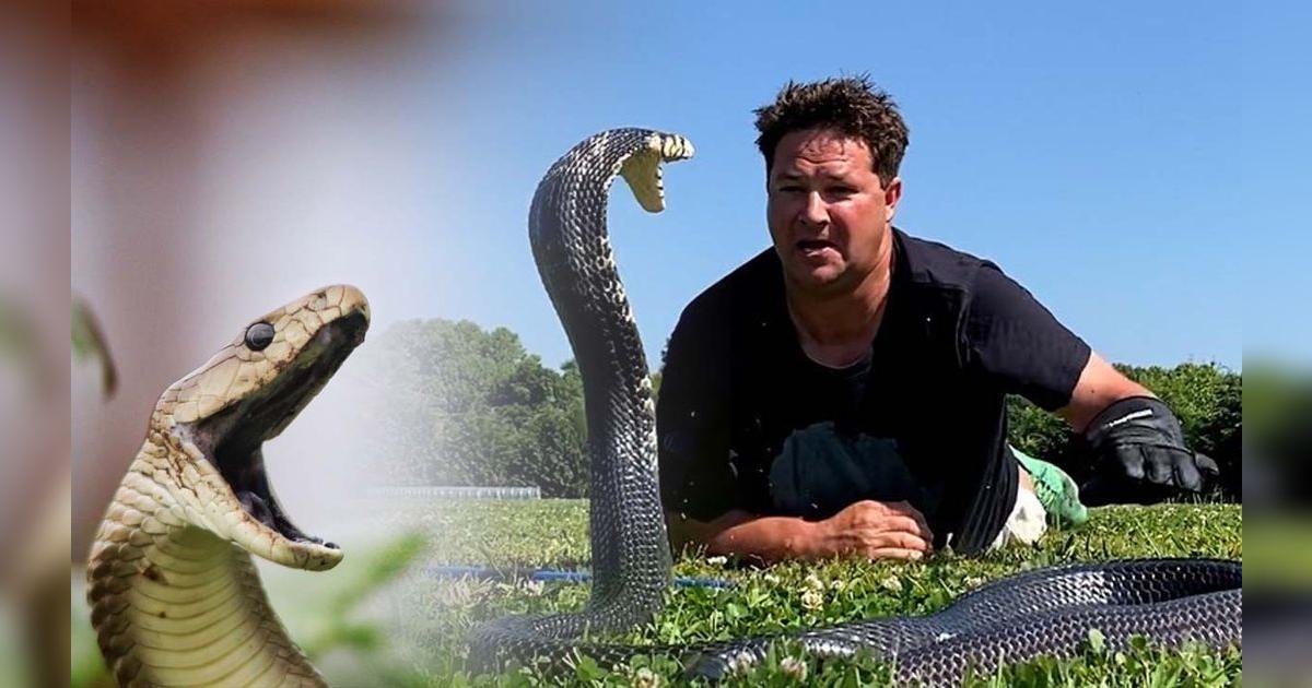 Graham 'Dingo' Dinkelman | Muere famoso youtuber por la mordedura de ...