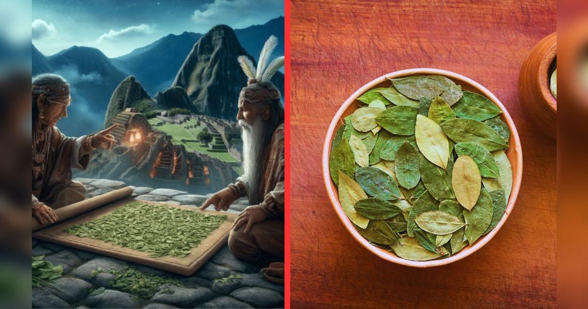La antigua costumbre en Perú de chacchar hojas de coca: ¿cuánto tiempo ...