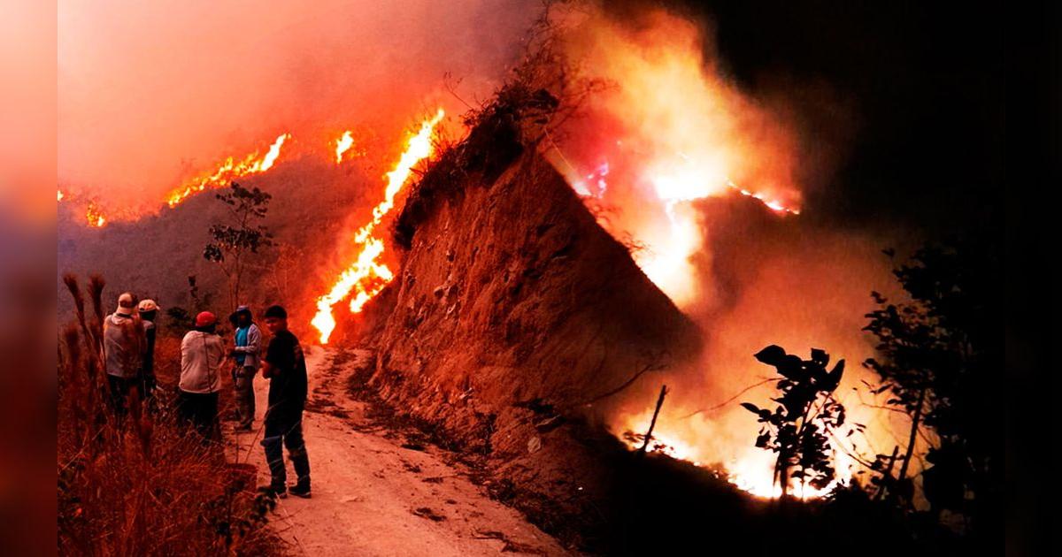 Nuevo incendio forestal en Jaén afecta a cientos de pobladores: se ...