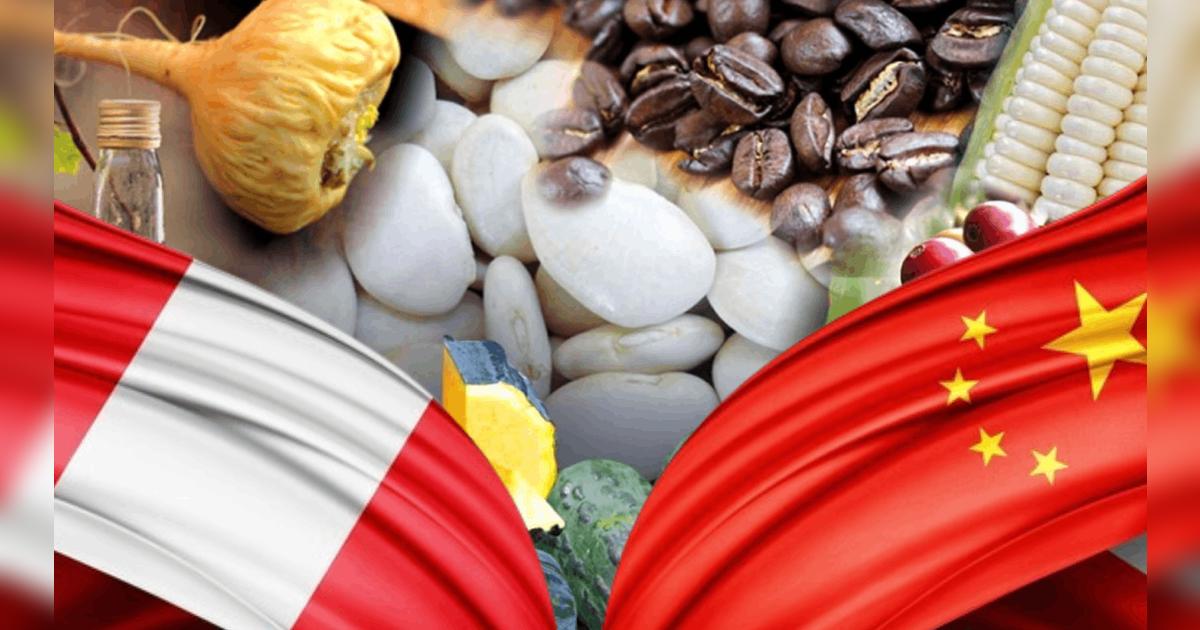 Perú y China en APEC 2024: ¿cuáles son los 7 productos nacionales que ...