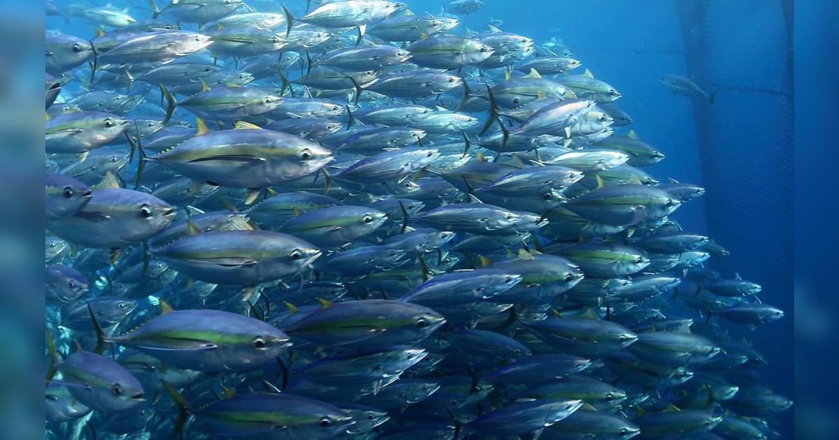 Científicos descubren cómo se forma una sustancia más tóxica que el ...