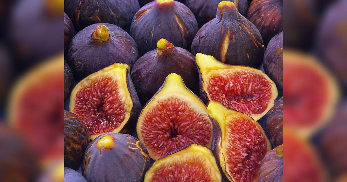 La fruta más antigua del mundo que era la favorita de Platón y ahora se ...