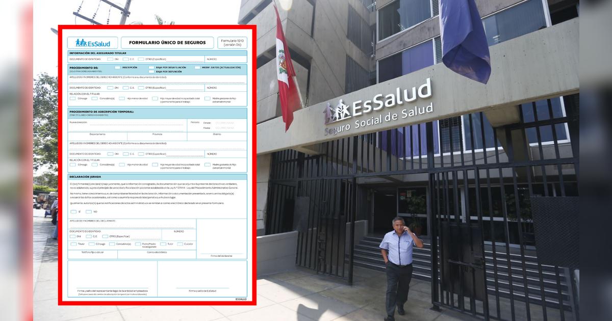 Formulario 1010 de EsSalud: ¿qué es, para qué sirve y cómo completarlo paso a paso? | Sociedad ...