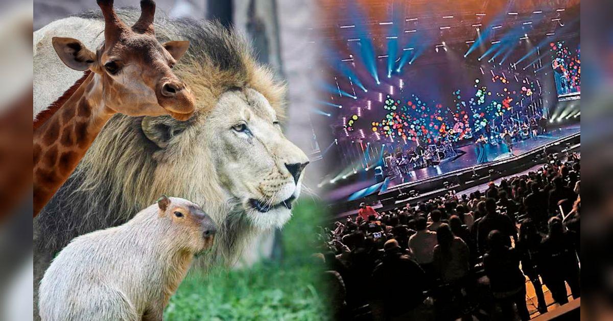 Municipalidad de Lima pretende construir la 'Arena 1' en terreno del ...