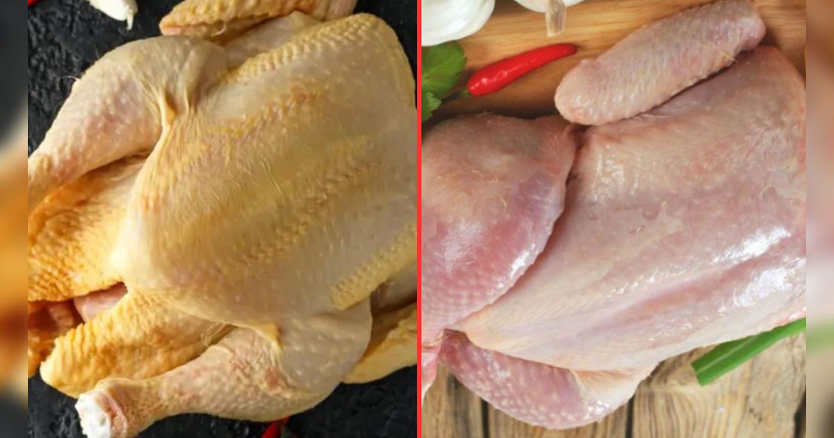 ¿Cuál es mejor para la comida? Pollo amarillo vs. blanco, las ...