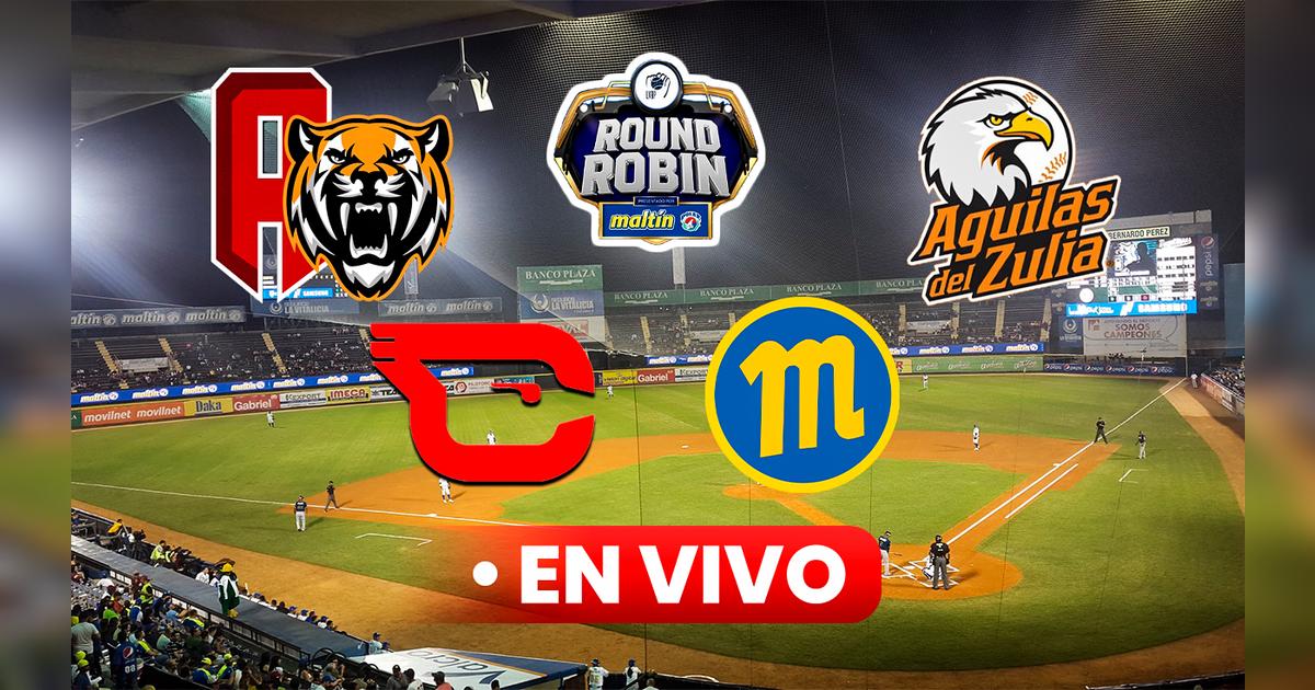 Resultados LVBP 2025 HOY, 4 de enero: cómo quedaron los juegos, marcadores finales y tabla de ...