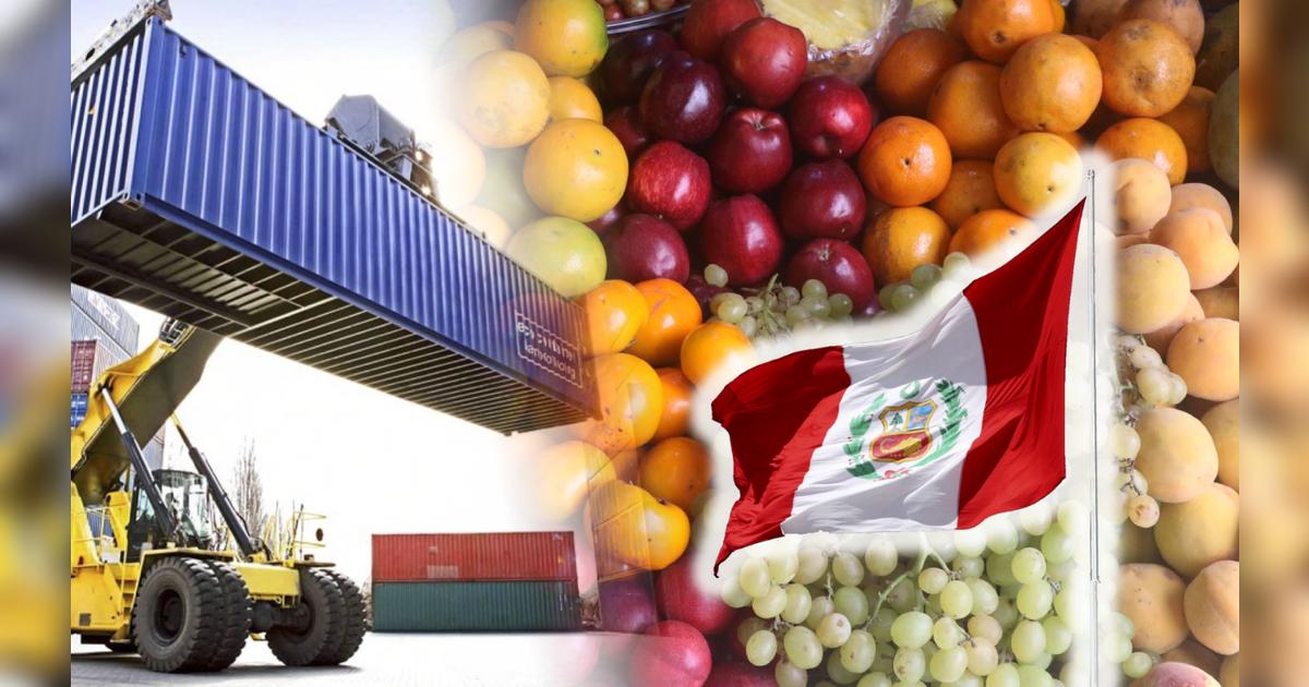 Perú alcanzó nuevo récord en agroexportaciones en 2024: las frutas que ...