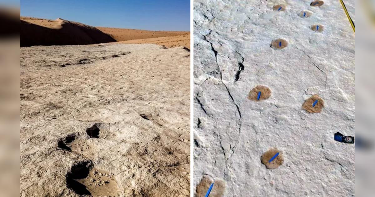 Alathar | Arqueólogos encuentran huellas humanas de hace 100.000 años ...