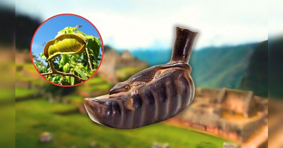 La fruta ancestral peruana que Atahualpa regaló a Pizarro por su ...