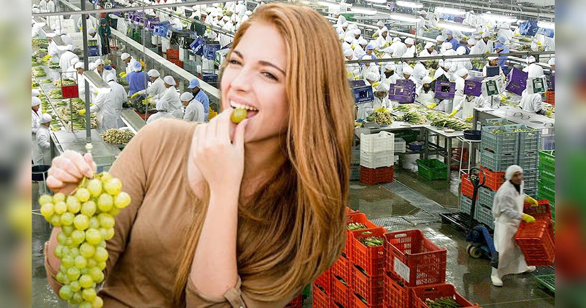 Las frutas que están revolucionando la exportación de pequeños ...