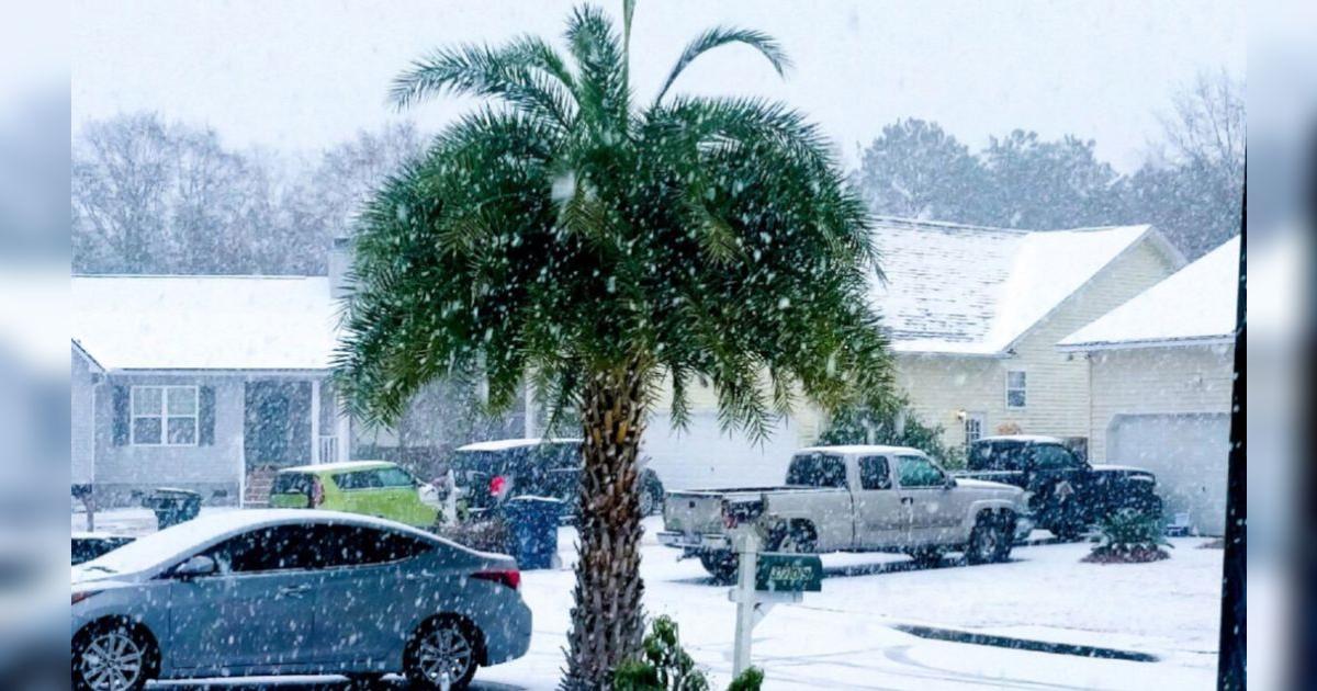 Tormenta invernal en Florida: caída de nieve y lluvias heladas por la ...