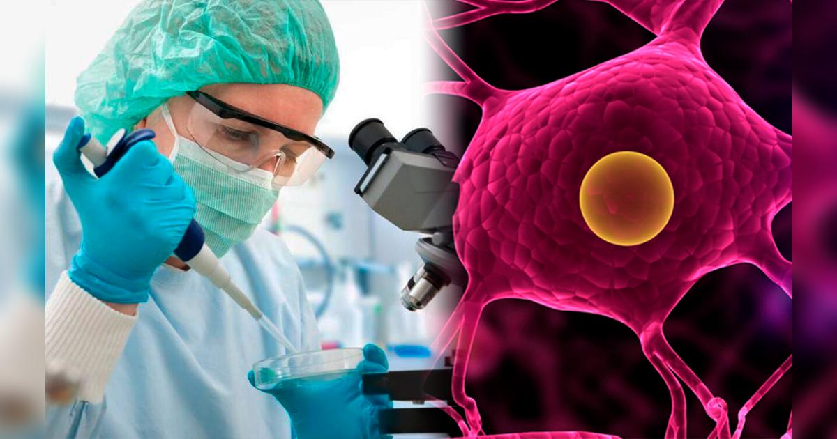 Un descubrimiento sobre el Parkinson revela que ya tendría tratamiento con un medicamento ...