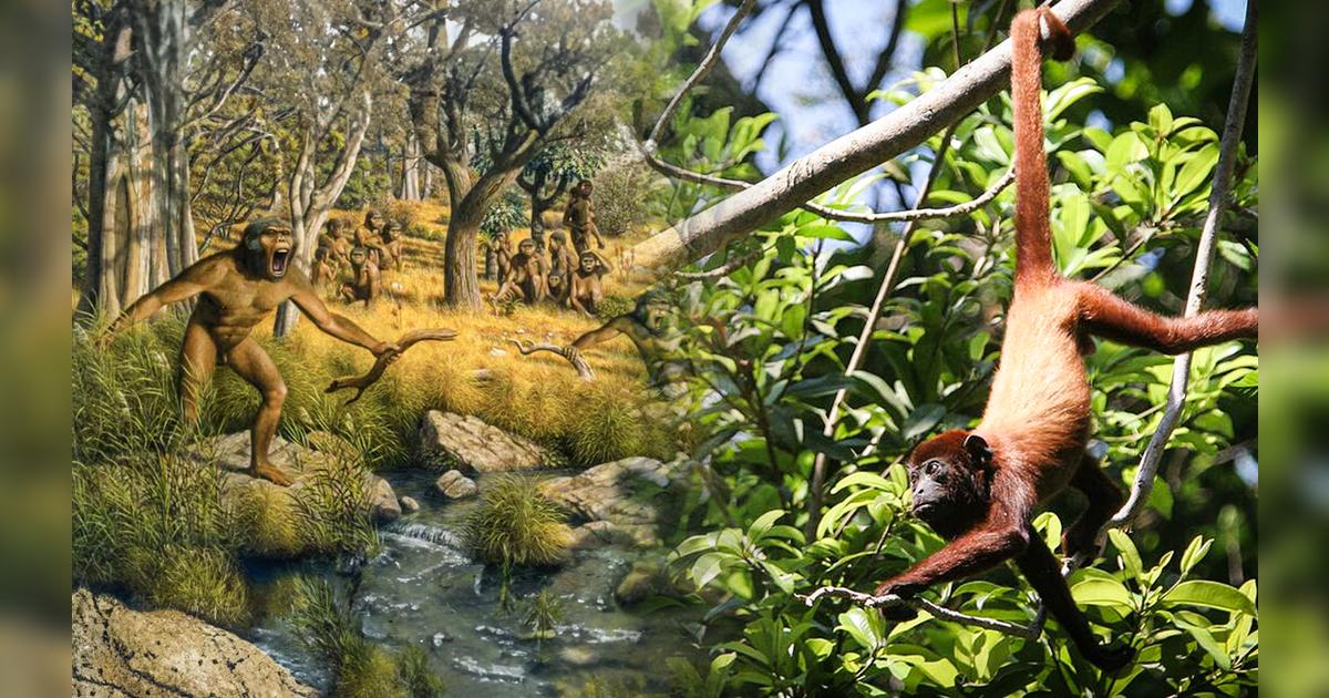 Científicos revelan cuál es la explicación de por qué los humanos no ...