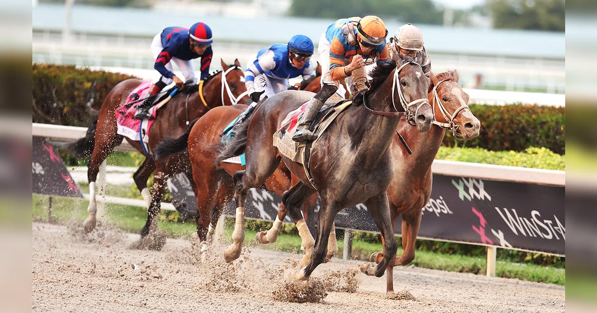 ¿Quién ganó Pegasus World Cup 2025? Resultado de la carrera y cómo quedaron Javier Castellano y ...