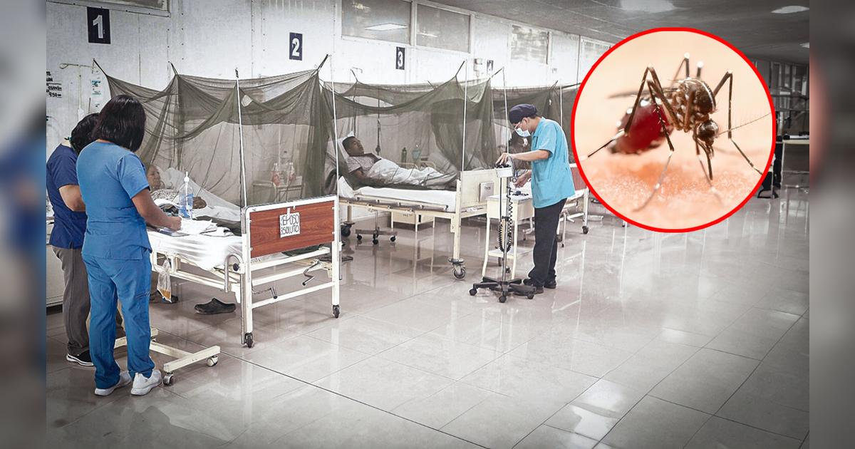 Essalud detecta 400 nuevos casos de dengue semanales en Perú: Ate y SJL ...