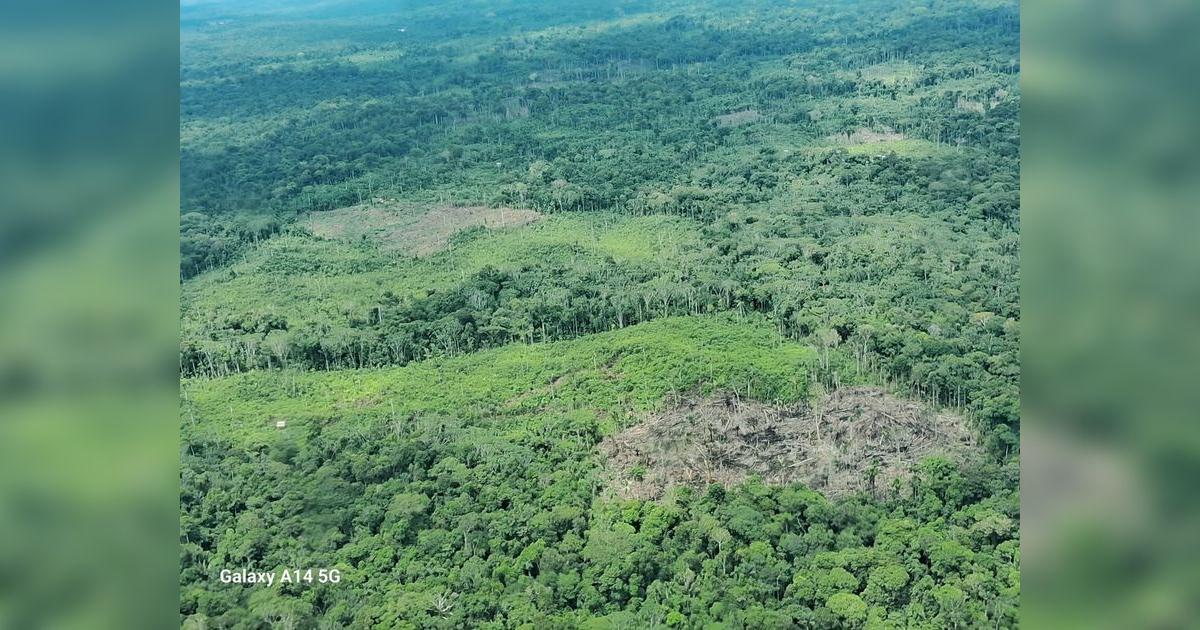 Líderes indígenas exigen al Mincul creación de la Reserva Yavarí Mirim ...