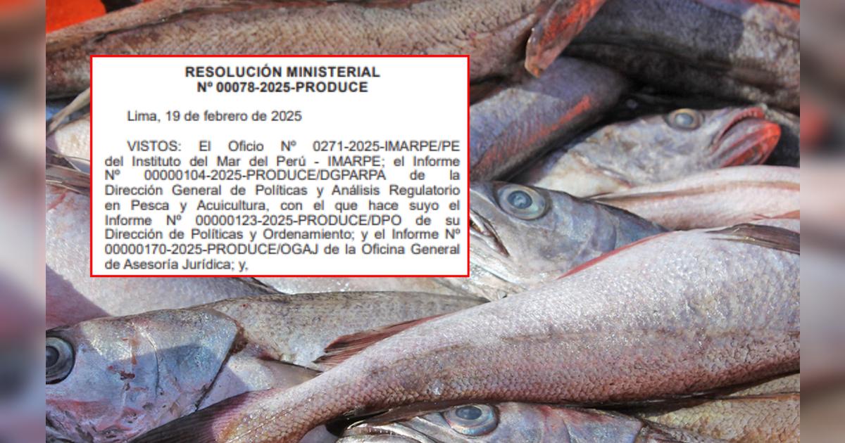 Produce establece veda reproductiva para el recurso merluza: ¿por ...