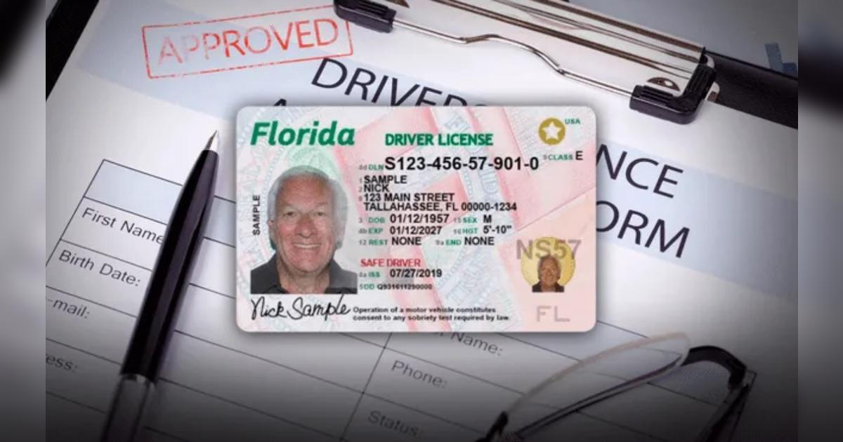 Florida: los pasos para verificar si tu licencia de conducir está ...