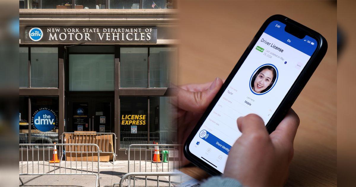 ¿Adiós a la licencia de conducir en Nueva York?: la nueva ...