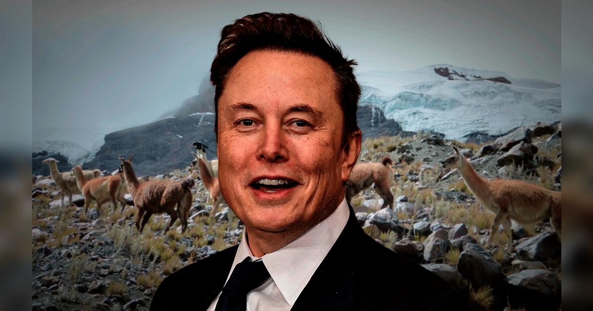 Elon Musk, líder de DOGE, cancela casi US$1 millón en subvenciones de ...