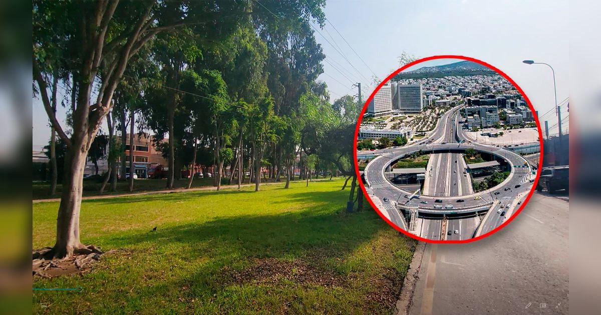 Vecinos de Ate rechazan tala de hasta 20 hectáreas de bosque por Anillo ...