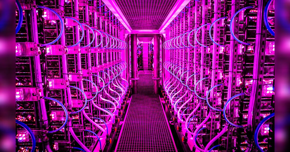Islandia | Este país de Europa creó una 'granja futurista' en la que ...