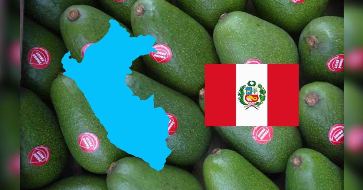 Perú busca superar a este país de Sudamérica como el principal ...