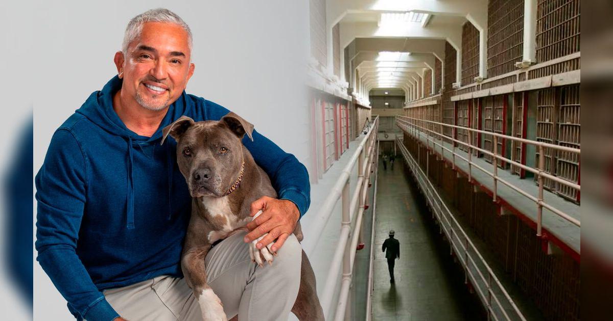 ¿Qué pasa con César Millán?: el 'encantador de perros' y los rumores ...
