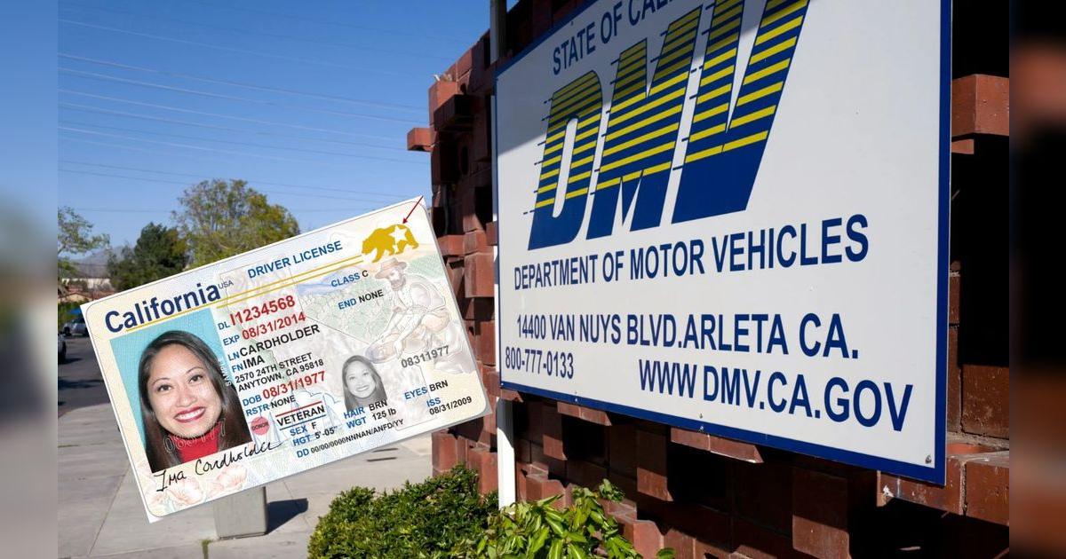 Medida del DMV permite a estos conductores renovar su licencia de ...