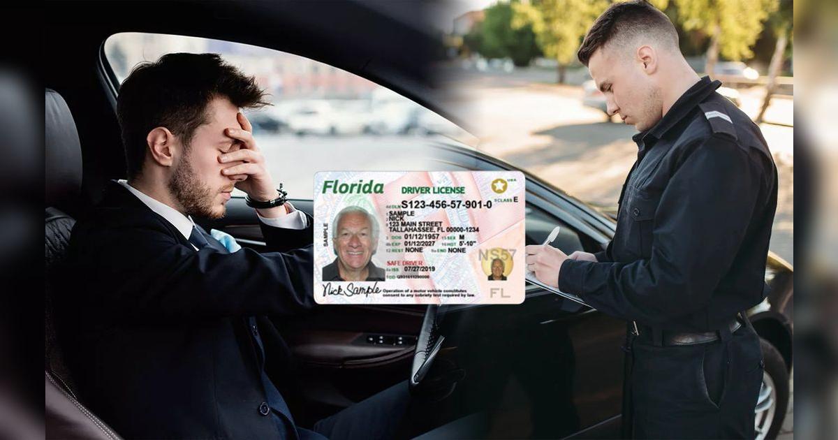 Licencia de conducir en Florida: herramienta oficial que los ...