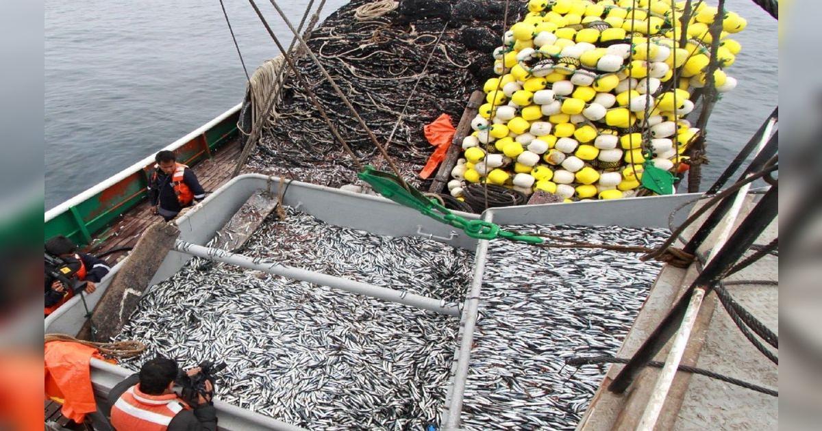 Autorizan primera temporada de pesca 2025 en zona centro-norte con ...