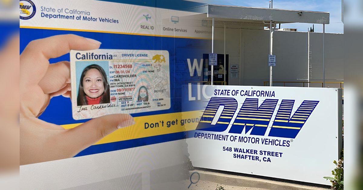 DMV: nueva disposición entró en vigor y busca beneficiar a solicitantes ...