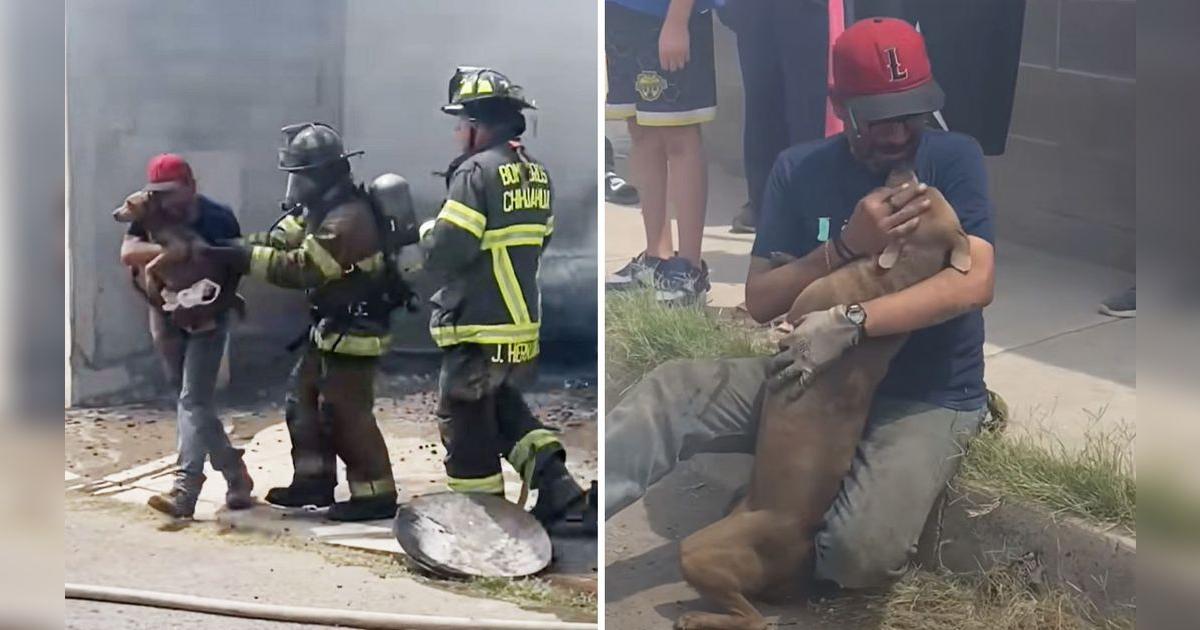 Hombre llora de emoción al ver a su perrito vivo tras ser rescatado de ...