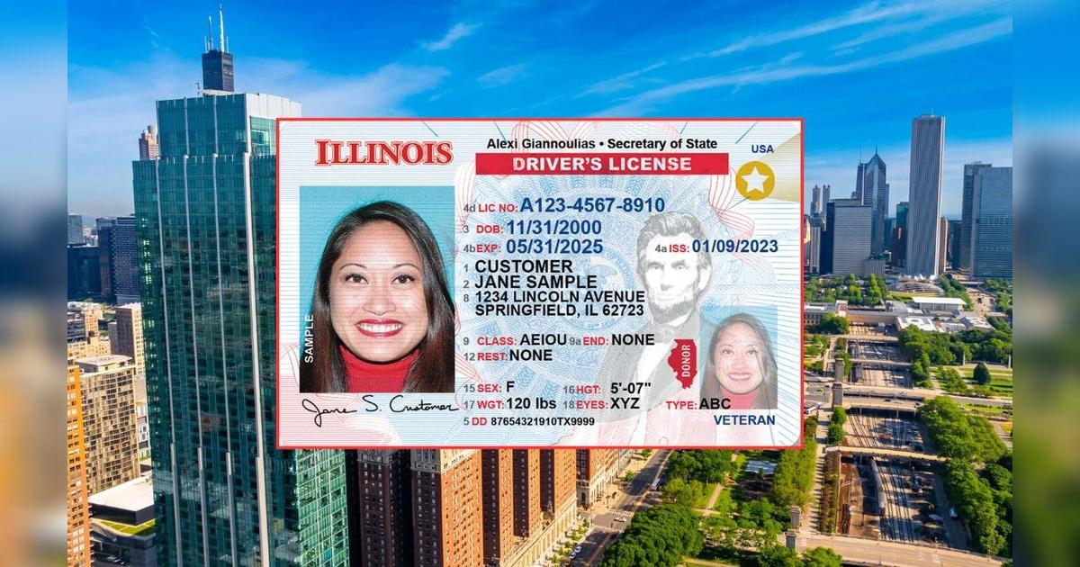 Licencia de conducir en Illinois: DMV anuncia nueva oficina para ...