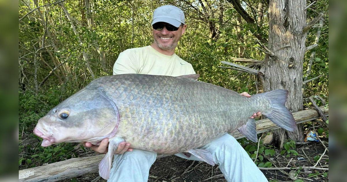 Hombre captura a uno de los peces de agua dulce más grande del mundo en ...