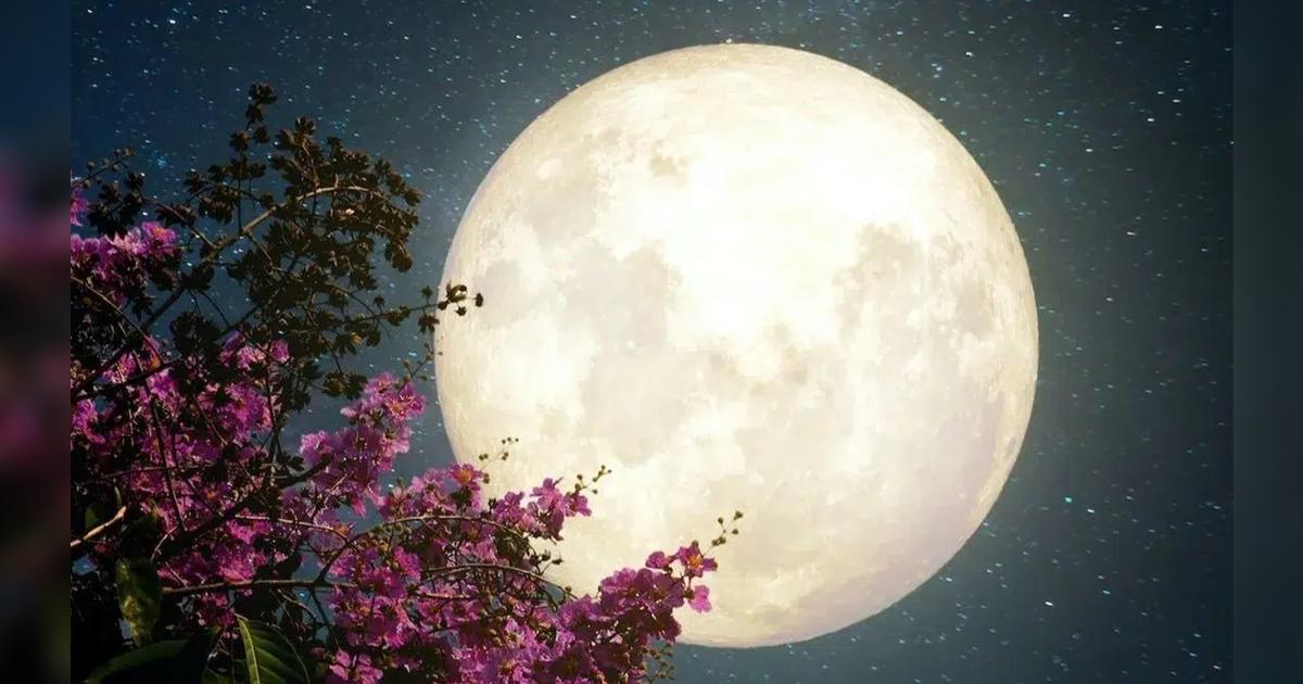 Calendario lunar de mayo: cuándo habrá luna llena este mes y ver todas las fases lunares ...