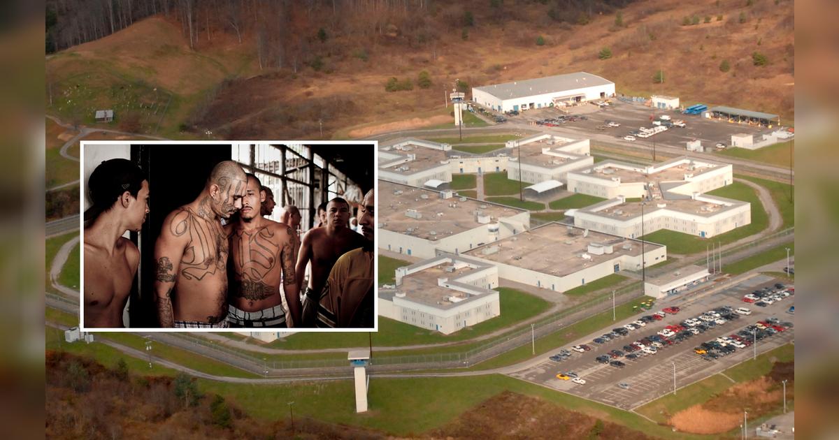 Attaque des gangs MS-13 dans la prison de Virginia: trois gardes ...