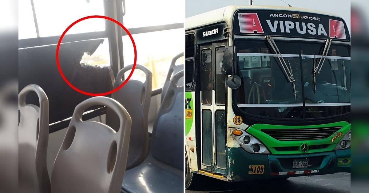 Nuevo atentado contra Vipusa: lanzan bomba molotov a bus con pasajeros ...