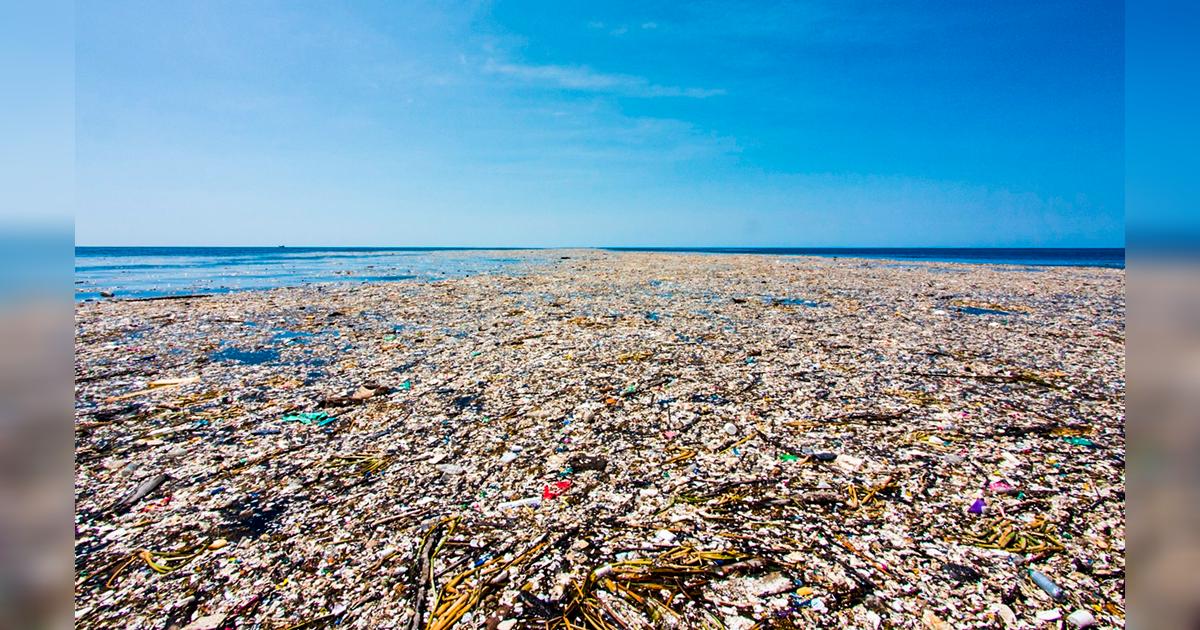 La 'isla de plástico' que triplica en tamaño a Francia y recibe el ...